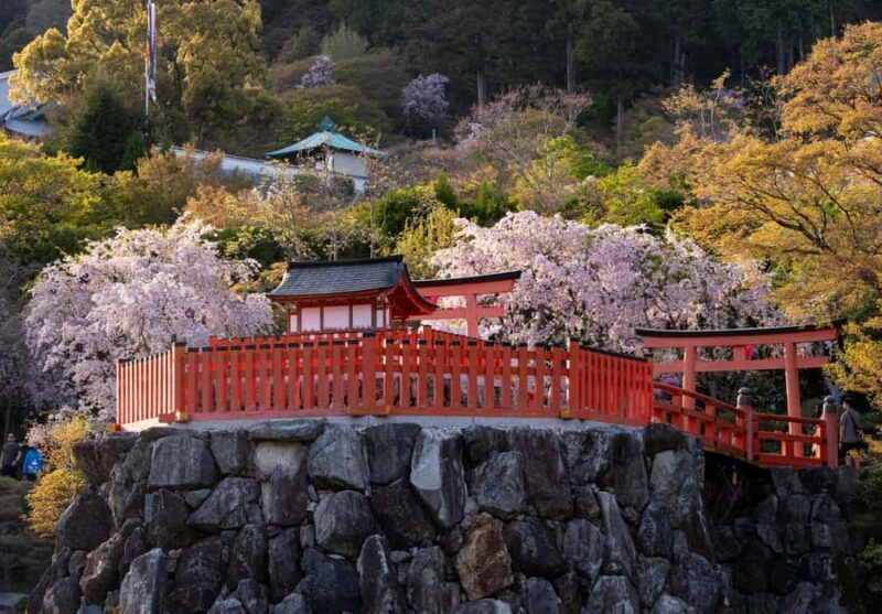 Osaka: Katsuoji Temple Guided Tour with Bus Transfer - Why This Tour Offers Great Value