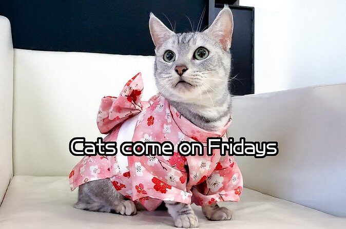 Osaka Kimono Rental - Who Will Love This Experience?