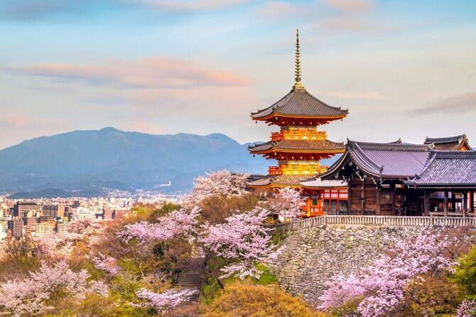 Osaka Kiyomizudera Fushimi Shrine and Nara Deer Sightseeing Trip - FAQ
