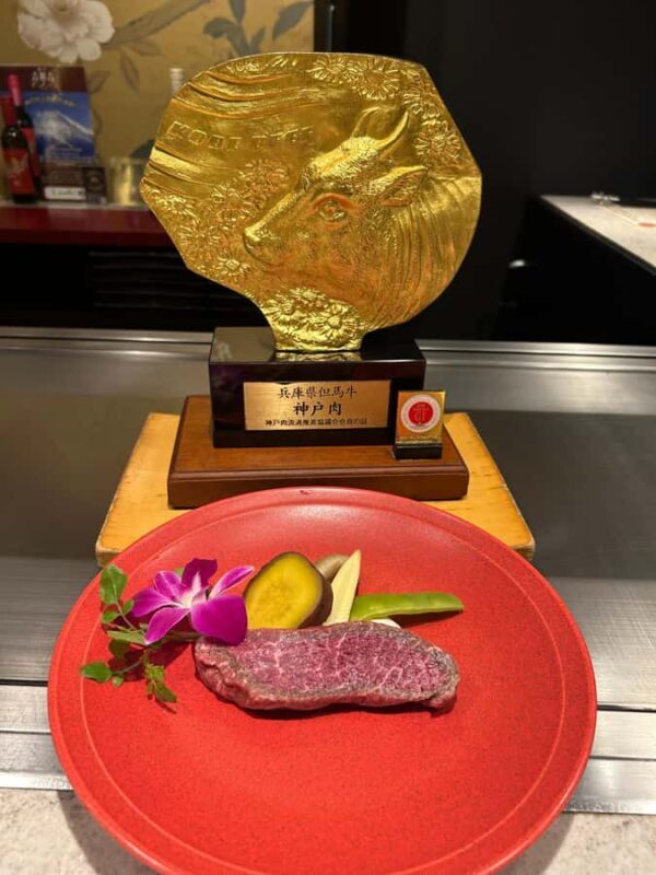 Osaka: Kobe Beef Teppanyaki Experience with Guide - What Travelers Are Saying