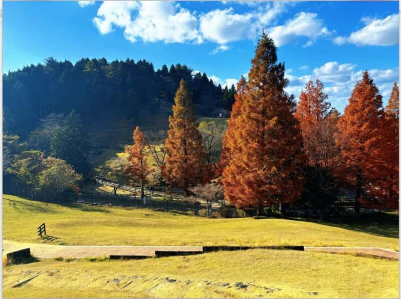 Osaka: Kobe Private Day Tour with Local Driver and Transfers - An In-Depth Look at the Kobe Private Day Tour