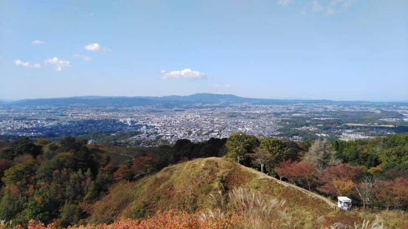 Osaka/Kyoto: 710 Day Nature & Adventure Tour - Practical Considerations