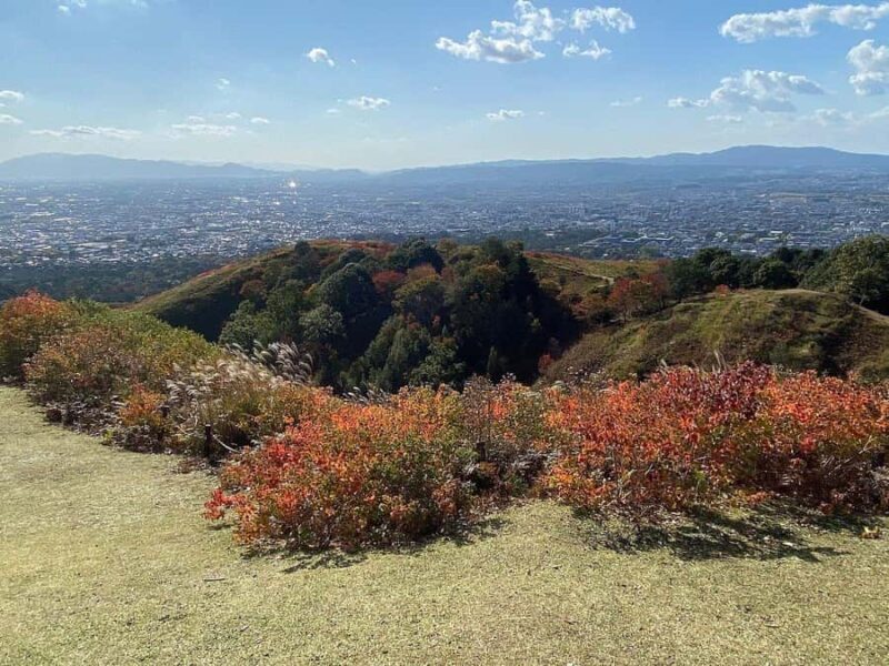 Osaka/Kyoto: 710 Day Nature & Adventure Tour - FAQ