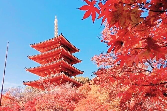 Osaka/Kyoto: Amanohashidate, Ine Bay & Nariaiji Bus Tour w/ Lunch - Exploring Japan’s Coastal Charm: The Amanohashidate, Ine Bay & Nariaiji Bus Tour