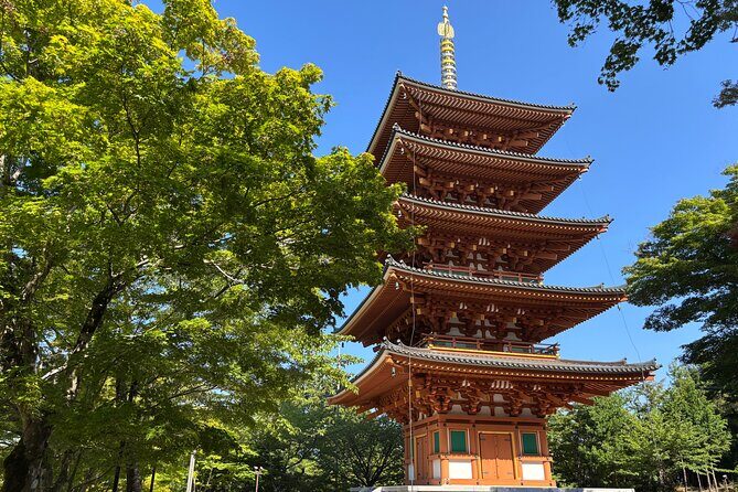 Osaka/Kyoto: Amanohashidate, Ine Bay & Nariaiji Bus Tour w/ Lunch - Authenticity and Traveler Feedback