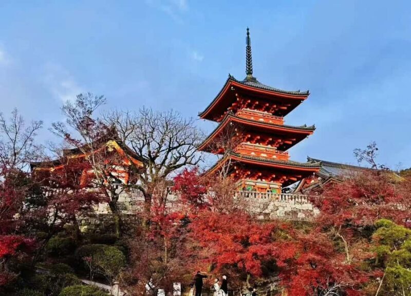 Osaka: Kyoto and Nara Day Trip with Pickup - Who This Tour Is Best For