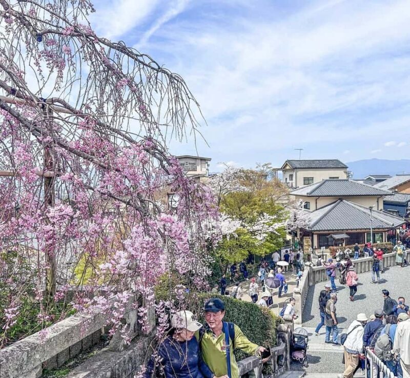 Osaka: Kyoto And Nara private Adventure Tour Hotel Pickup - A Deep Dive into the Experience