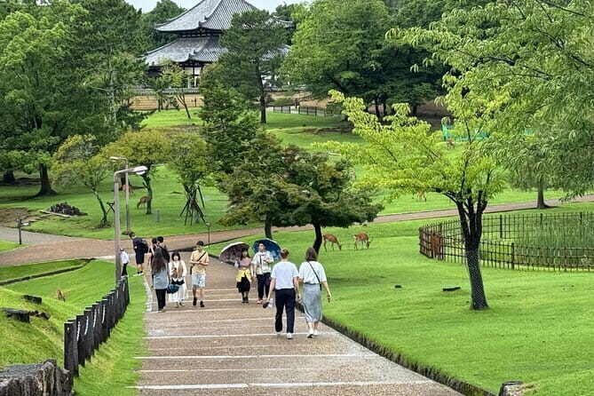Osaka/Kyoto and Nara private tour with English speaking Guide - What Travelers Love—and What Could Be Better