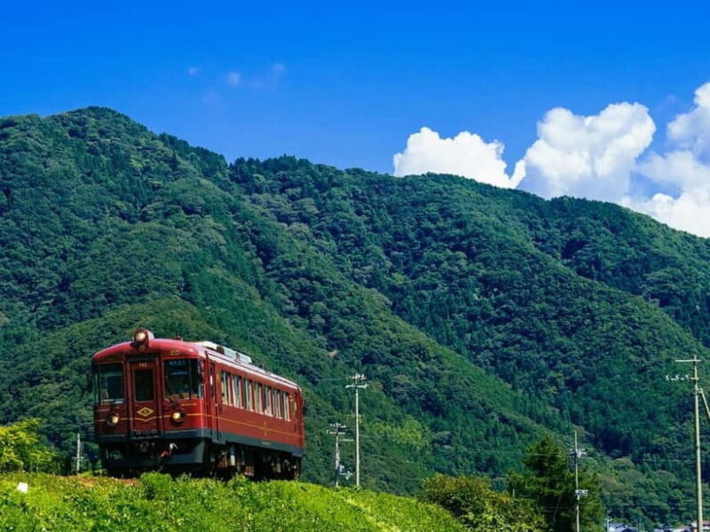 Osaka/Kyoto: Arashiyama, Amanohashidate & Tango Railway Tour - Full Review: A Day of Natural Beauty and Cultural Charm
