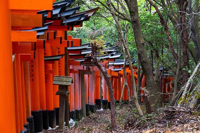 Osaka/Kyoto: Arashiyama, Fushimi Inari & Nara Park Day Trip - FAQ