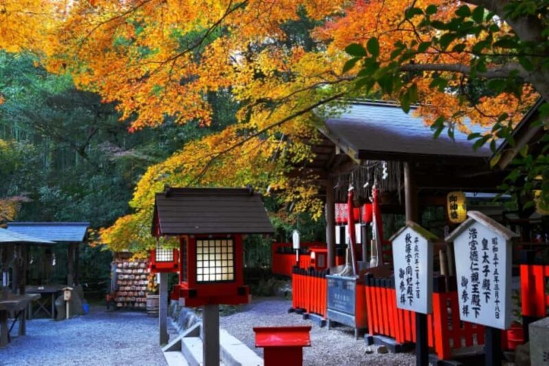Osaka: Kyoto Autumn Minoh Falls, Arashiyama, Kinkakuji & etc - Who is This Tour Best For?