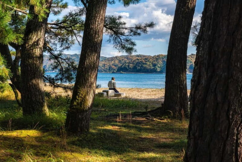 Osaka: Kyoto By The Sea with Amanohashidate & Ine no Funaya - FAQs about the Tour