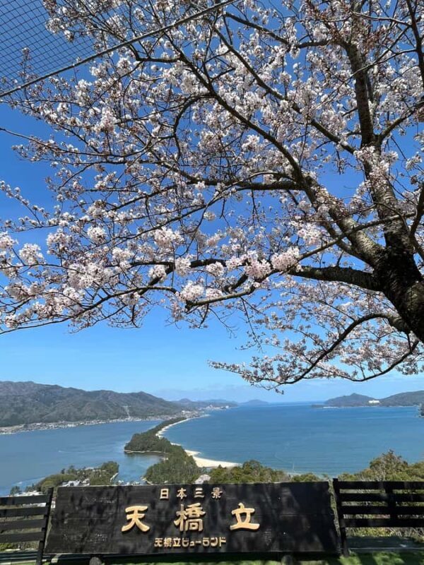Osaka/Kyoto: Enjoy Amanohashidate & Ine 1-Day Bus Tour - Key Points
