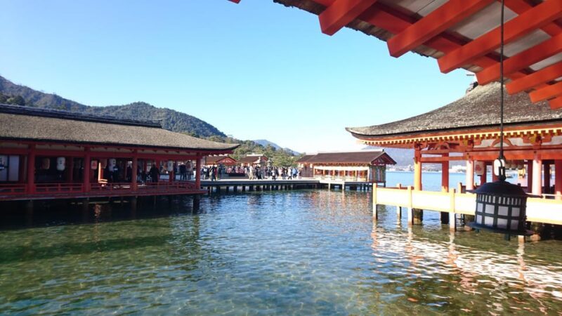 Osaka/Kyoto: Hiroshima Miyajima Bus Tour & Shinkansen Ticket - Transportation and Comfort