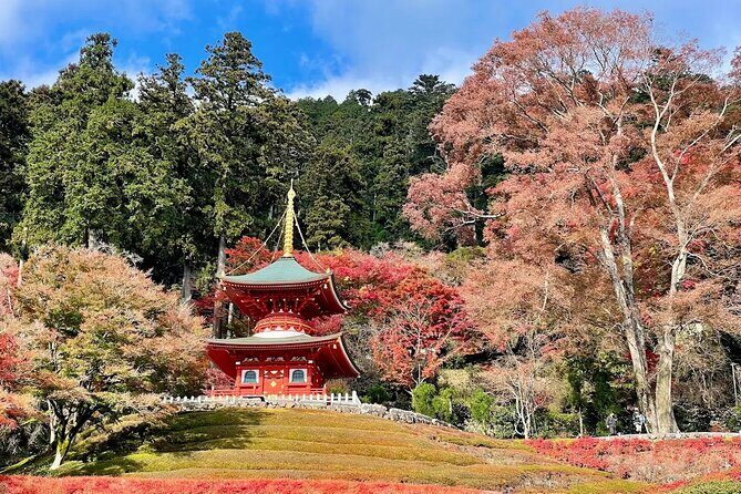 Osaka / Kyoto: Katsuoji, Arashiyama & Kinkaku-ji One Day Tour - FAQ
