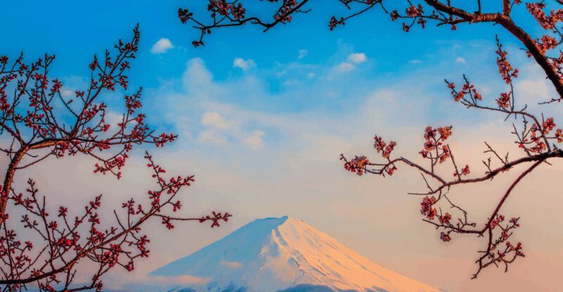 Osaka, Kyoto & Nara 5 Days Tour with Accomodation - Frequently Asked Questions