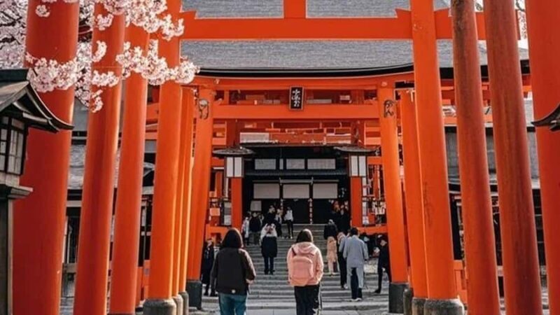 Osaka: Kyoto, Nara, Fushimi Inari, and Arashiyama Tour - Key Points
