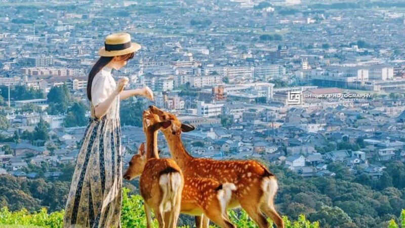 Osaka: Kyoto, Nara, Fushimi Inari, and Arashiyama Tour - A Full Day of Highlights in Kansai