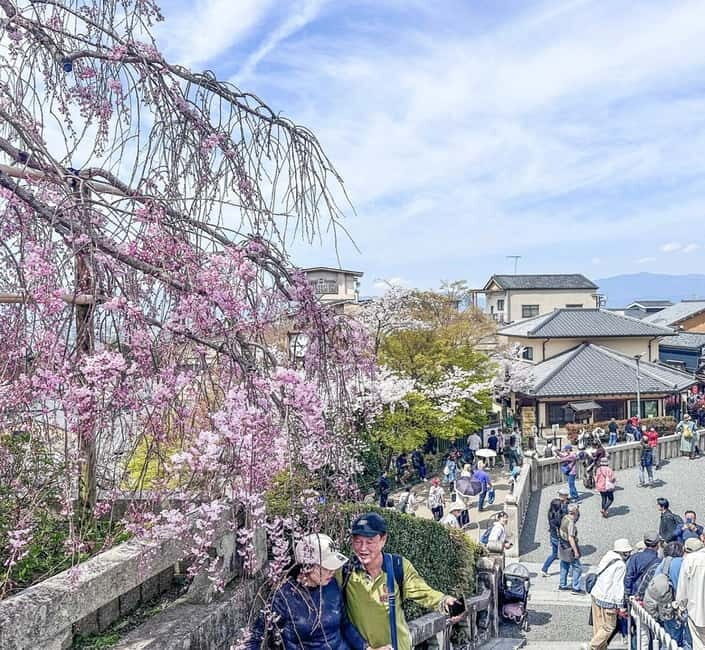 Osaka/Kyoto/Nara: Private Full-Day Sightseeing Tour - The Sum Up