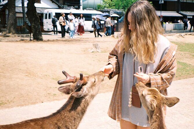 Osaka Kyoto Nara Private Transport with English Driver - What to Expect from this Private Transport Service