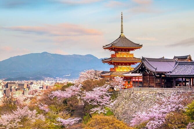 Osaka & Kyoto & Nara Top Hightlights English Speaking Tour - Key Points