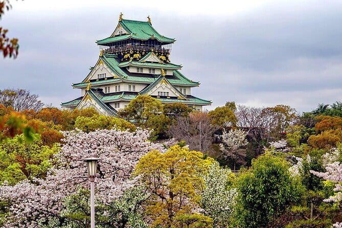 Osaka & Kyoto & Nara Top Hightlights English Speaking Tour - Why This Tour Offers Good Value