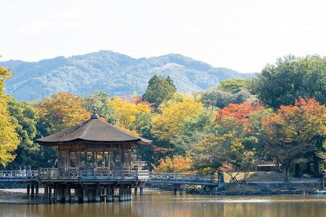 Osaka & Kyoto & Nara Top Hightlights English Speaking Tour - FAQ