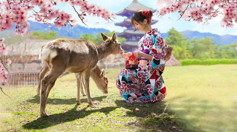 Osaka: Kyoto & Nara & Uji Historical and Scenic One-Day Tour - The Sum Up: Who Will Benefit Most?