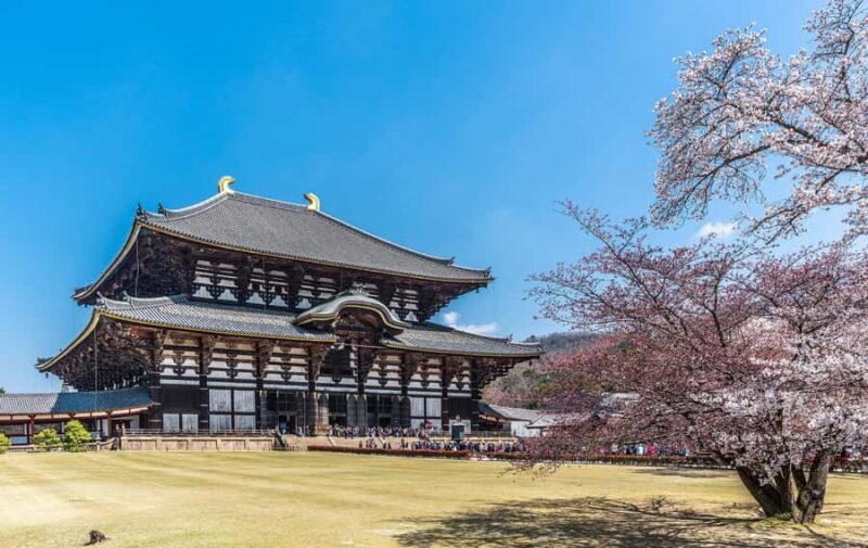 Osaka: Kyoto & Nara UNESCO Heritage Small Group Tour - Key Points