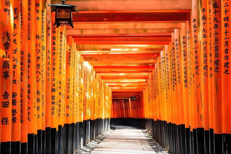 Osaka: Kyoto & Nara UNESCO Heritage Small Group Tour - What to Expect on Your Day Trip