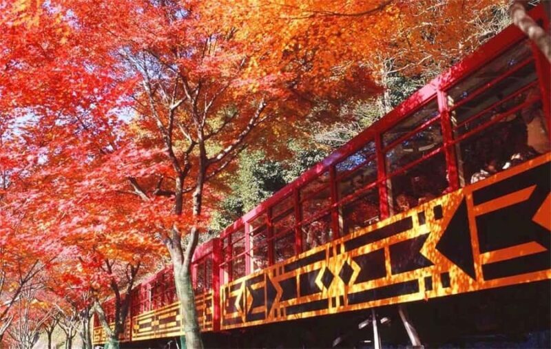 Osaka: Kyoto Private Day Tour with Sagano Scenic Railway - Starting Your Day: From Osaka to Kyoto