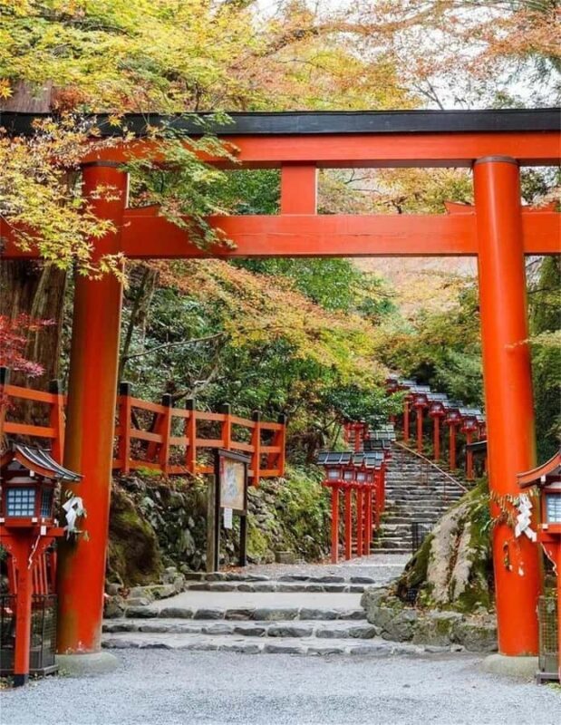 Osaka: Kyoto Private Day Tour with Sagano Scenic Railway - Exploring Arashiyama: Bamboo Forest, Togetsukyo Bridge, and More