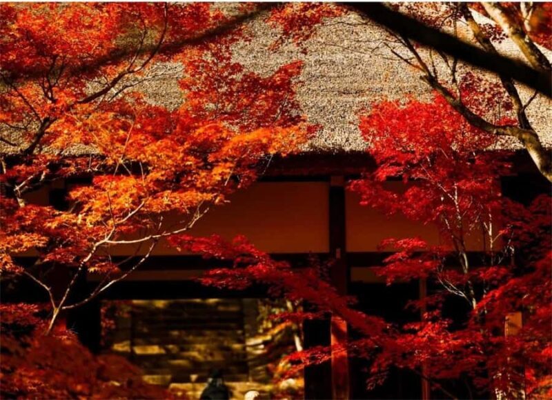 Osaka: Kyoto Private Day Tour with Sagano Scenic Railway - Wrapping Up and Returning to Osaka