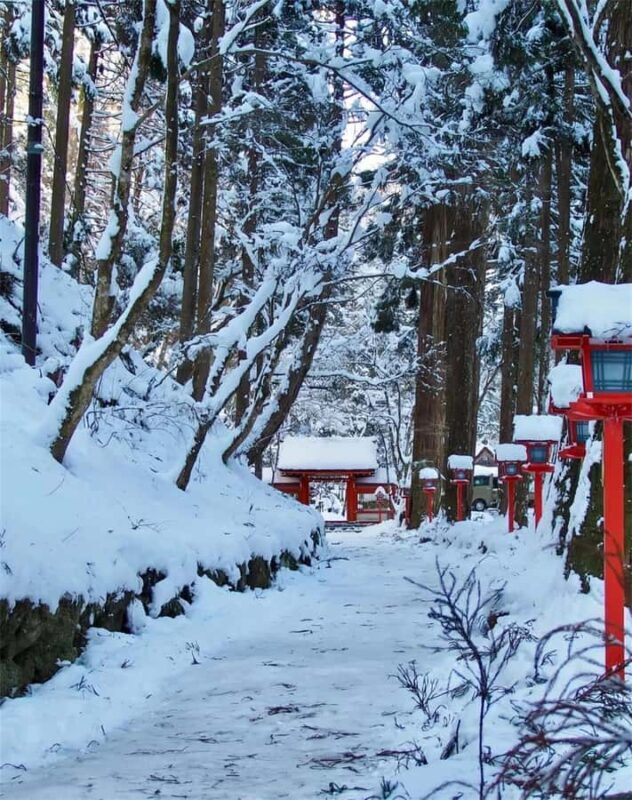 Osaka: Kyoto Private Day Tour with Sagano Scenic Railway - Who Would Benefit Most?