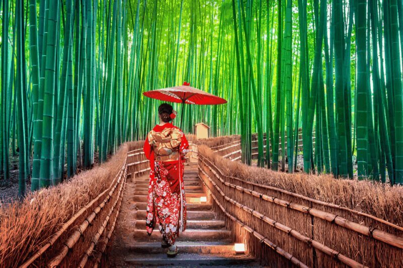 Osaka/Kyoto: Private Kyoto and Nara Day Trip - Who Should Consider This Tour?