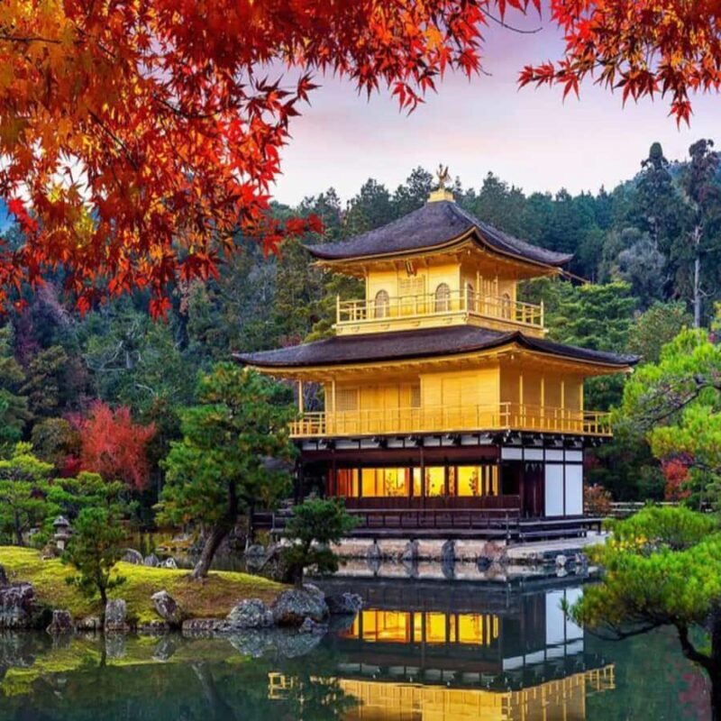 Osaka/Kyoto : Private Kyoto & Nara Customised Day Trip - Frequently Asked Questions