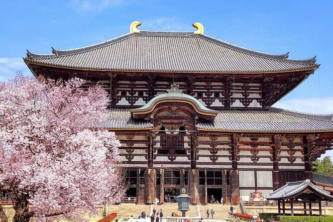 Osaka / Kyoto: Todai-ji, Nara Park, Fushimi Inari and Byodo-in - Key Points