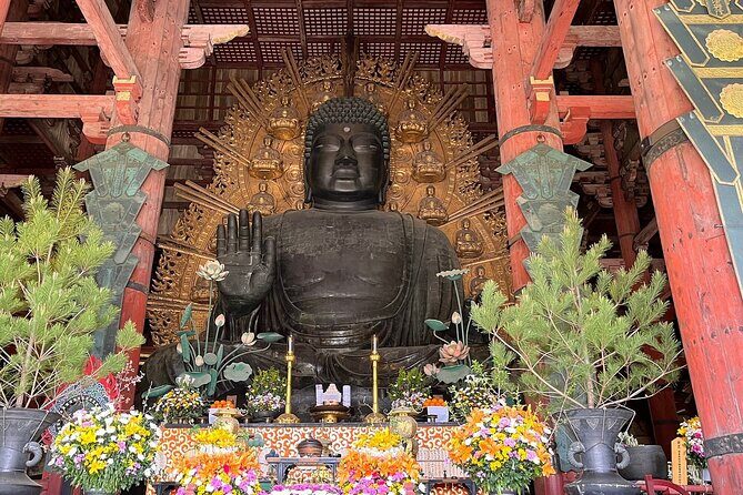 Osaka / Kyoto: Todai-ji, Nara Park, Fushimi Inari and Byodo-in - Transportation and Group Size