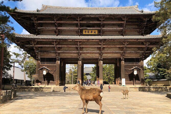Osaka / Kyoto: Todai-ji, Nara Park, Fushimi Inari and Byodo-in - Authentic Experiences and Practical Tips