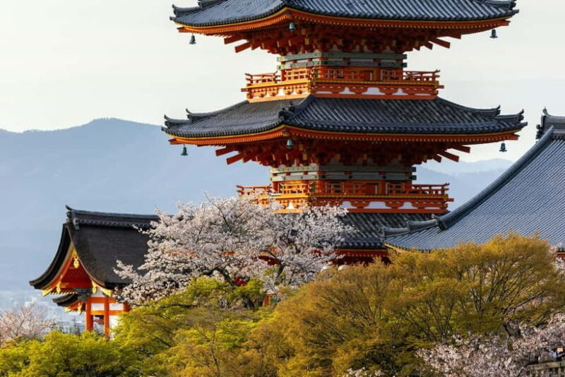 Osaka: Kyoto & Uji Historical Sites and Scenic Delights Tour - A Deep Dive Into the Tour