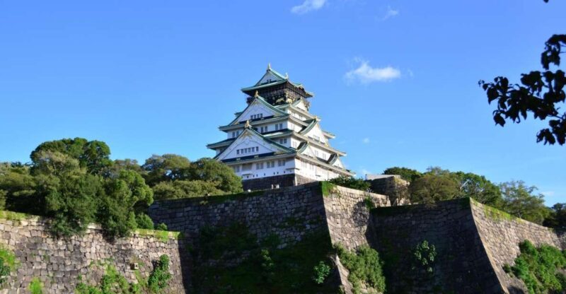 Osaka: Main Sights and Hidden Spots Guided Walking Tour - An In-Depth Look at the Tour Experience