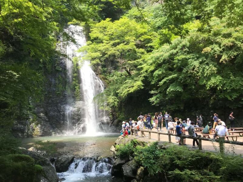 Osaka: Minoh Forest Walk & Giant Waterfall with Local Lunch - Who Will Love This Tour?