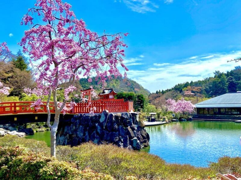 Osaka: Minoh, Katsuoji Temple, & Minoh Falls Full-day Tour - Key Points