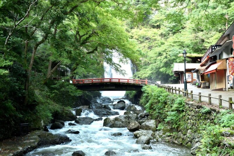 Osaka: Minoh, Katsuoji Temple, & Minoh Falls Full-day Tour - What the Reviews Reveal