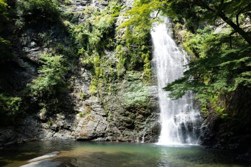 Osaka: Minoh, Katsuoji Temple, & Minoh Falls Full-day Tour - FAQs