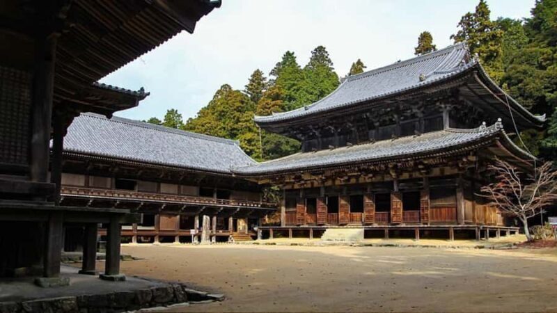 Osaka: Mount Koya & Nachi Waterfalls Day Trip with Guide - Key Points