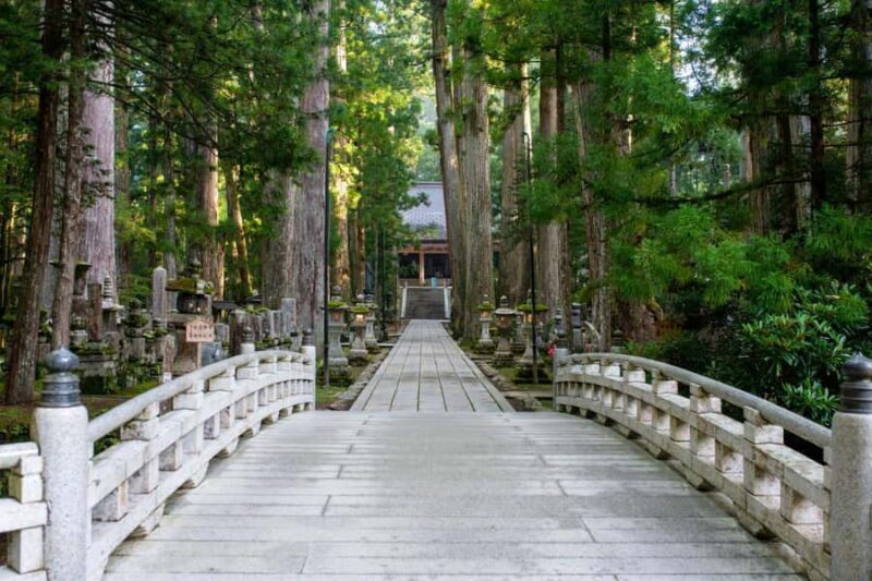 Osaka: Mount Koya & Nachi Waterfalls Day Trip with Guide - The Itinerary Detailed Breakdown