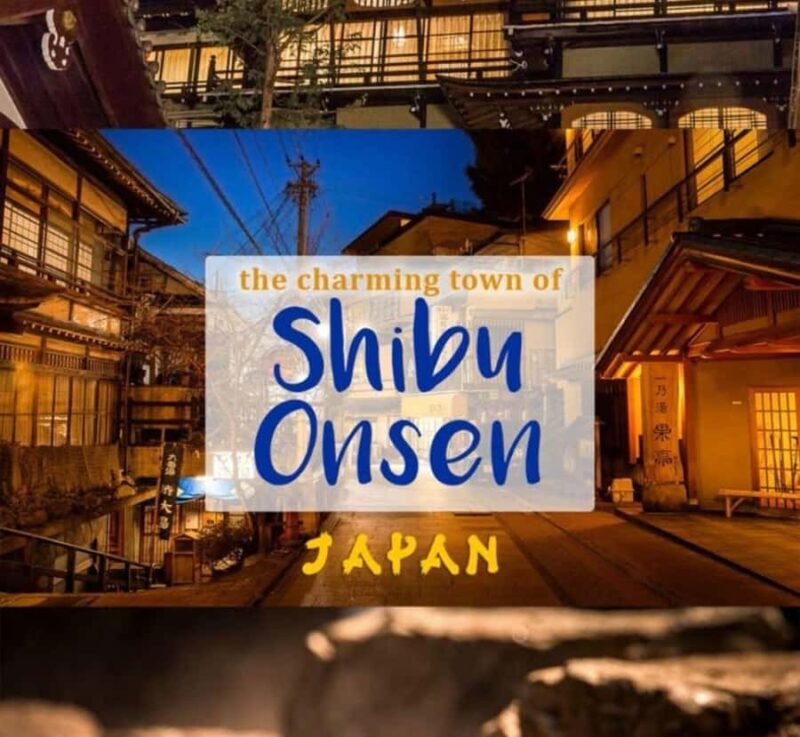 Osaka: Nagano Private Day Trip with English-Speaking Guide - Key Points