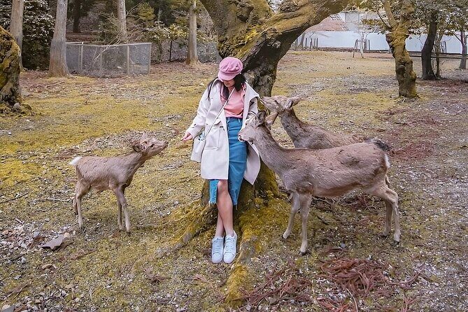 Osaka Namba Nara Yasaka Shrine Tour With AC Private Car by Guide - Final Thoughts