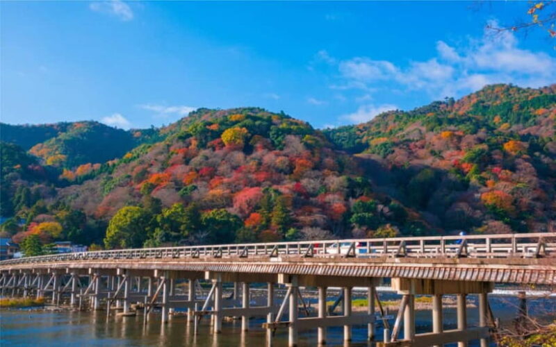 Osaka, Nara and Kyoto Day Trip with English Speaking Driver - Final Thoughts